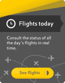 Flights status